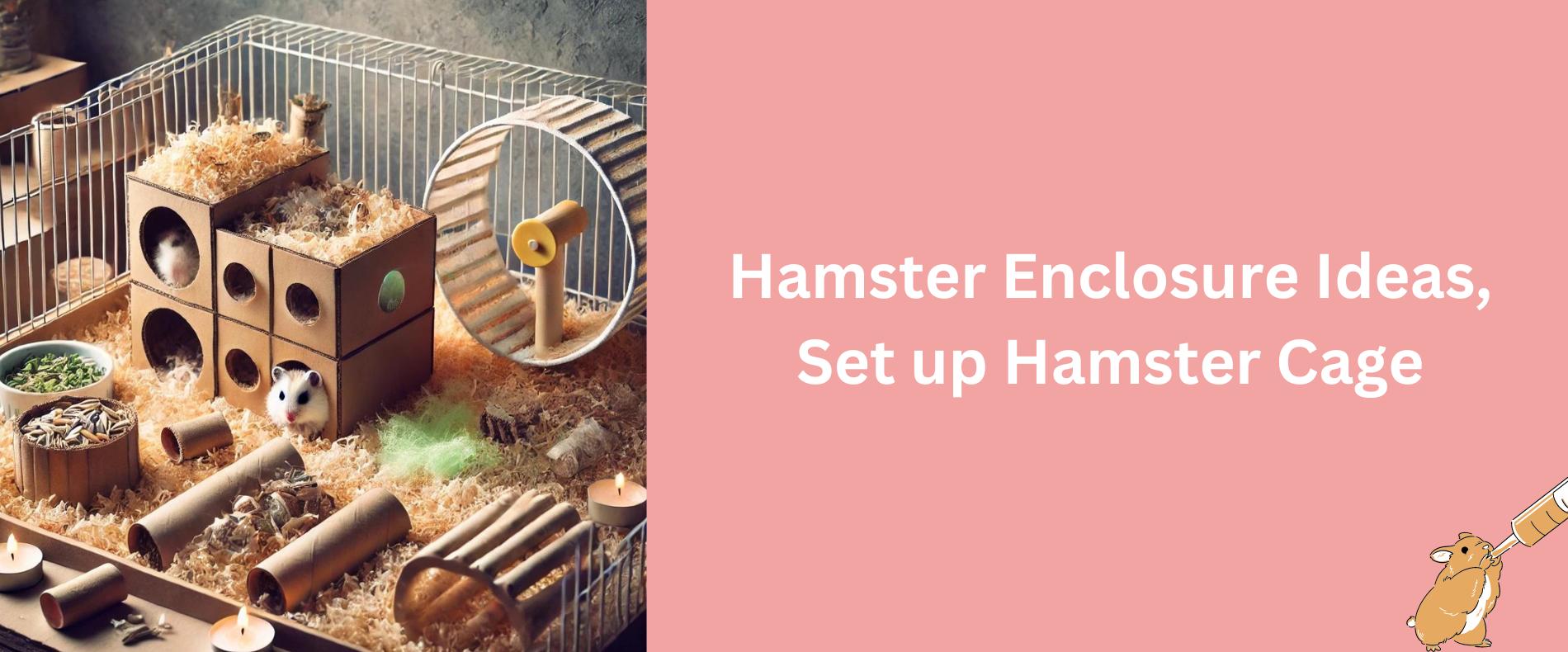 Hamster Enclosure Ideas, Set up Hamster Cage